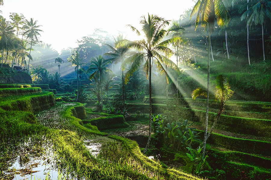 Your Perfect Holiday | Holiday Generator |Travel Republic