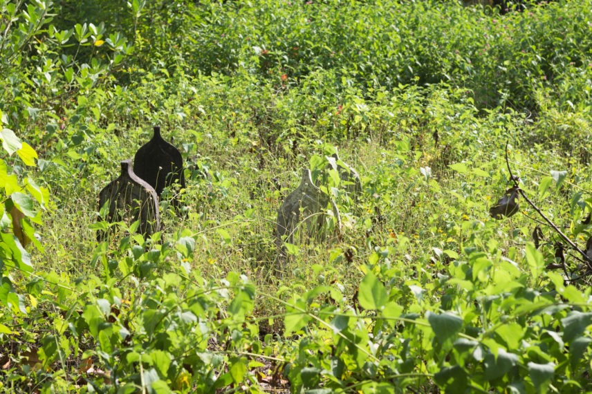 How Many Islands are There in the Maldives? - [TravelRepublic Blog ]